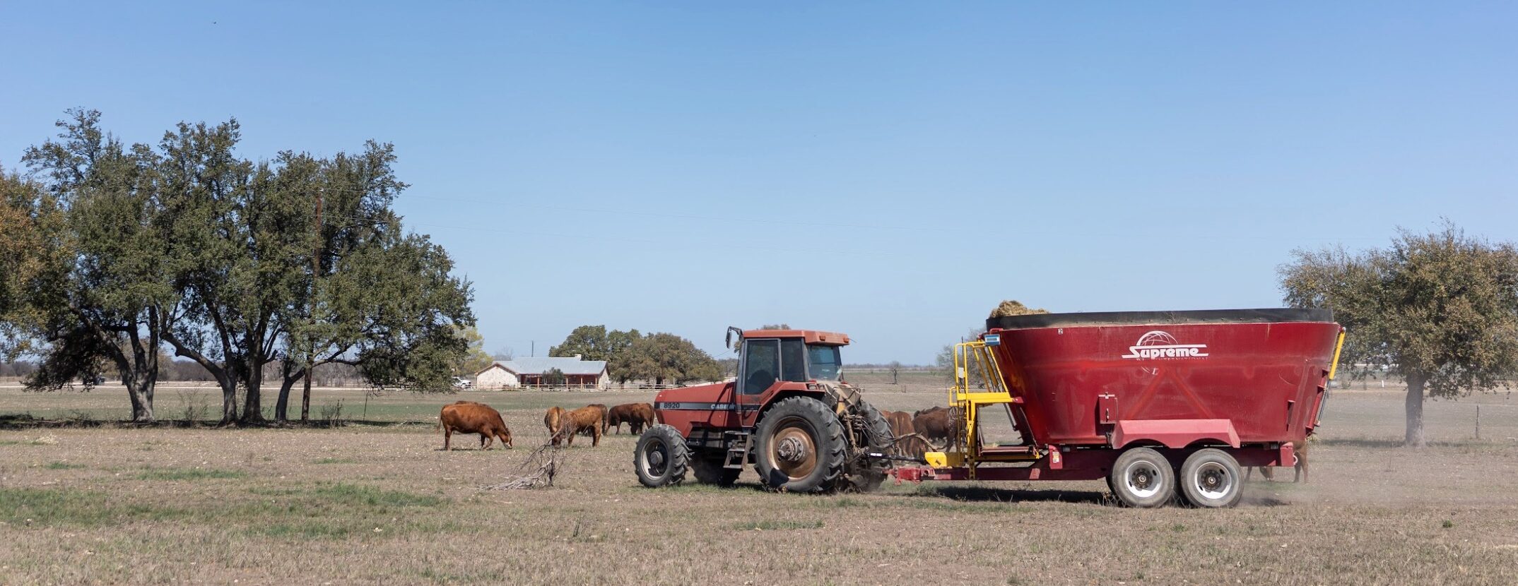 Ranch Improvement & Land Clearing in South Texas | Graff Grown