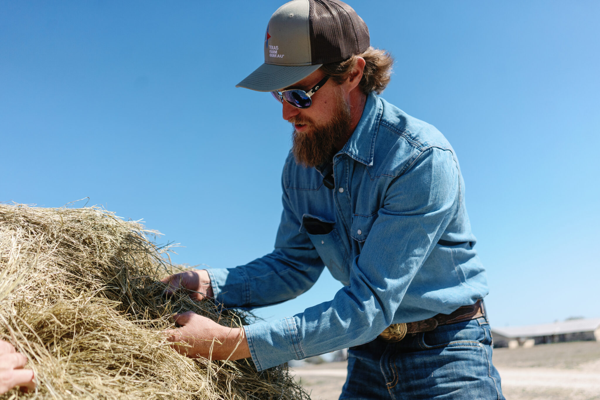 Understanding Baleage: Why It’s a Smart Choice for South Texas Ranchers ...